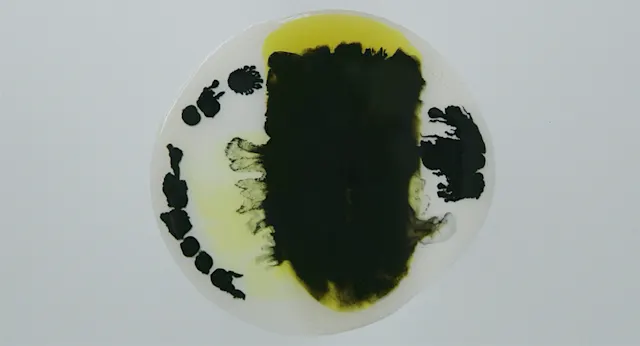 WePresent | Jason Logan