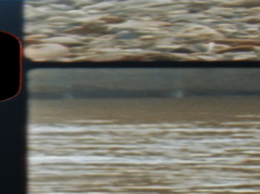 WePresent | Chorus in Rememory of Flight by Julianknxx