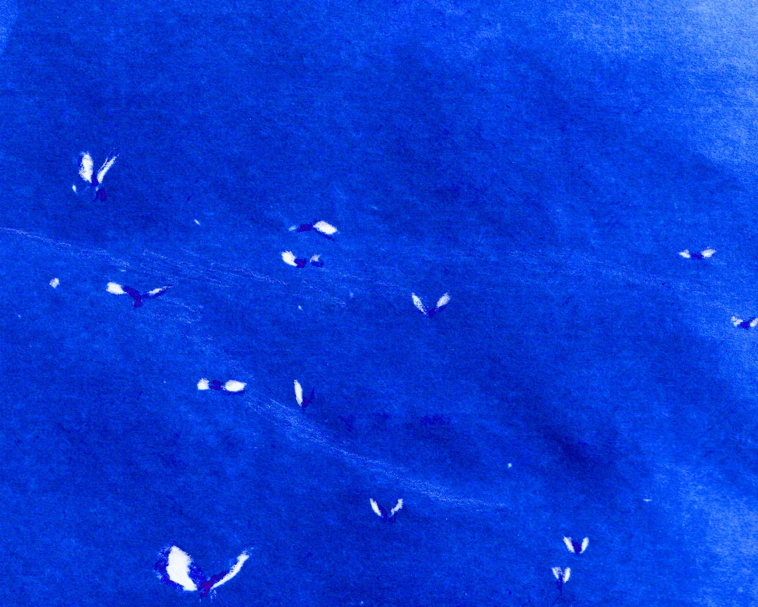 WePresent | Simon Fisher Turner's essay inspired by Derek Jarman