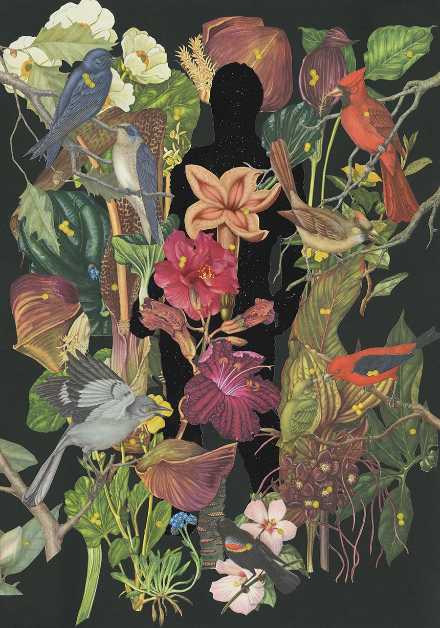 WePresent | Ashkan Honarvar’s collages meditate on the human condition