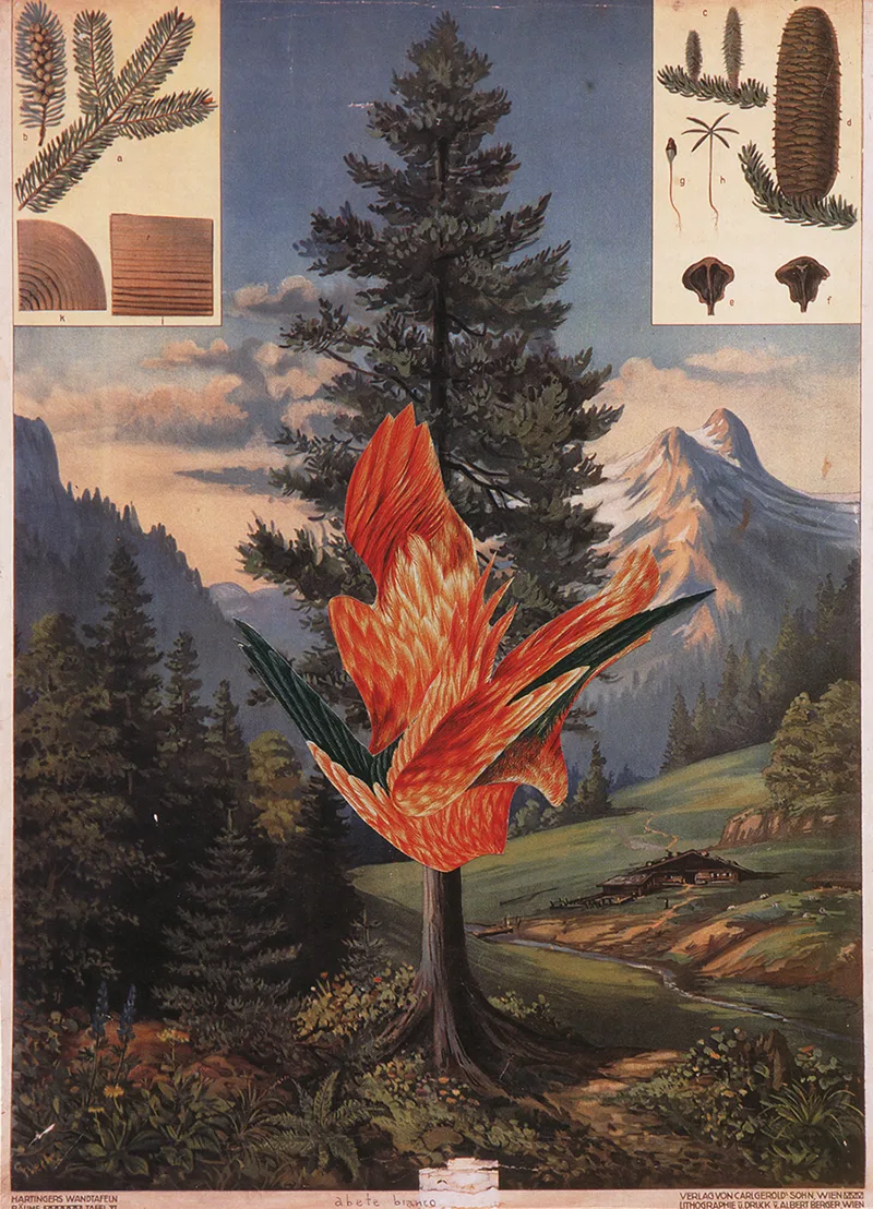 WePresent | Ashkan Honarvar’s collages meditate on the human condition