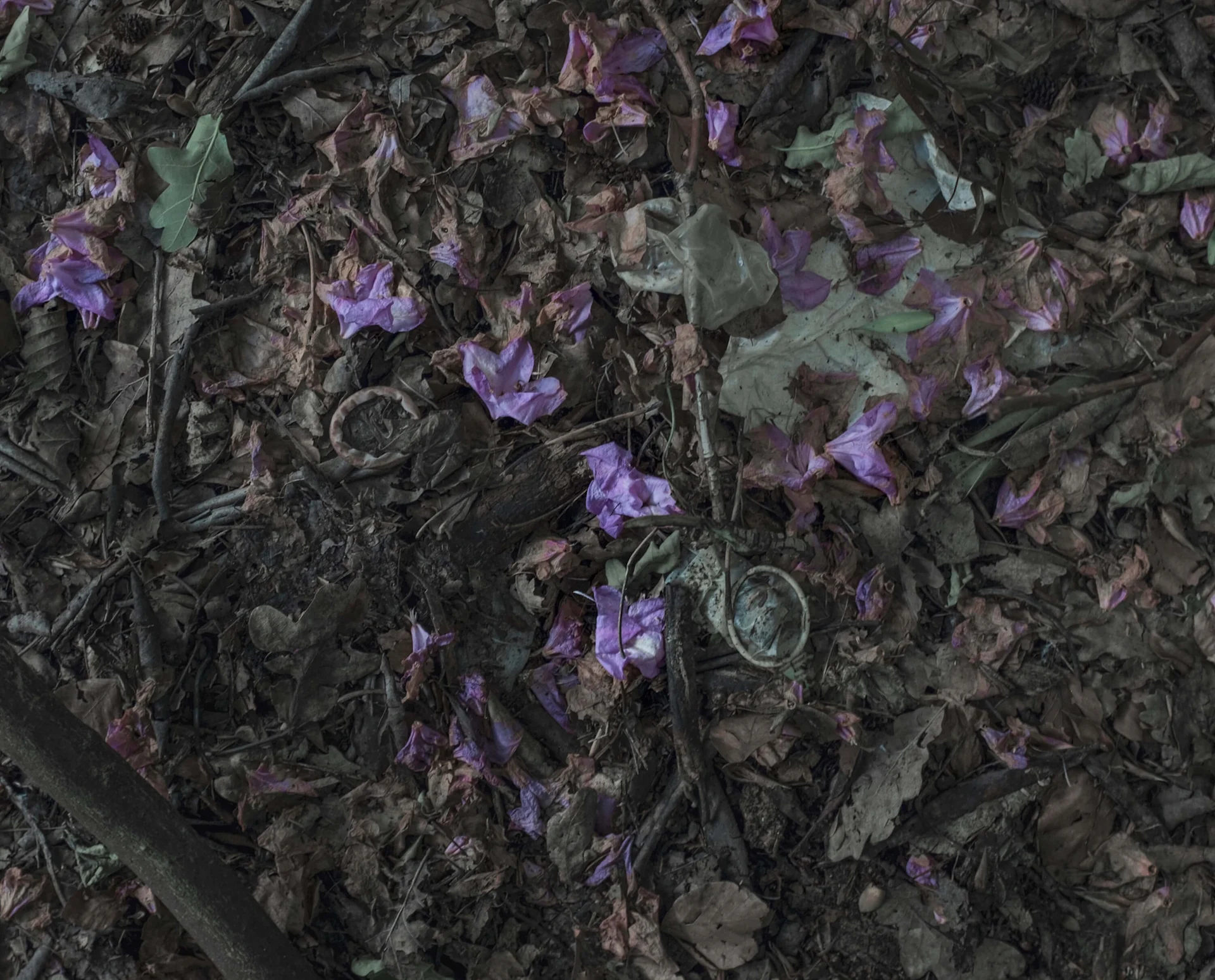 WePresent | Heba Khamis on the refugees making ends meet in Berlin