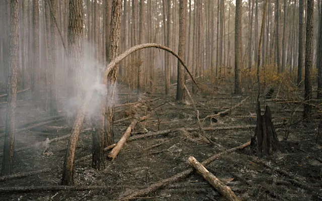 WePresent | Anna Beeke photographs Washington’s San Juan Islands