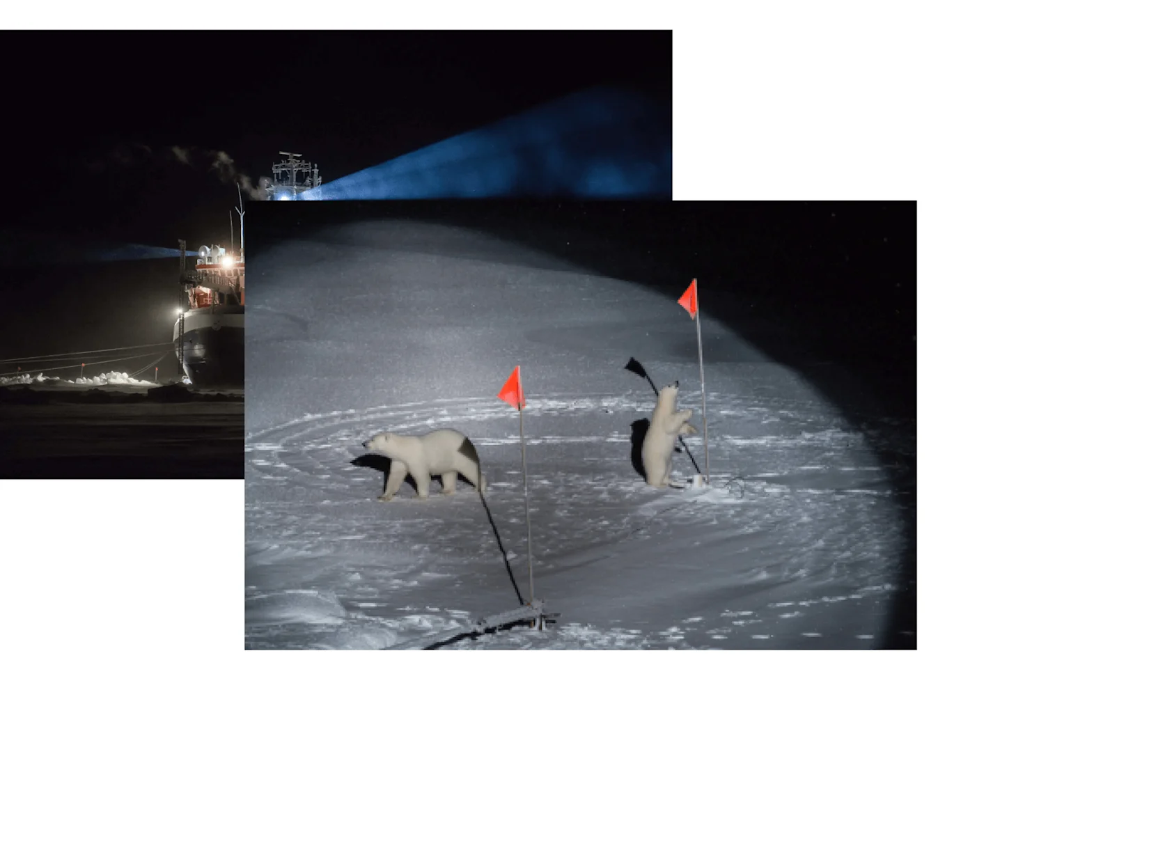 WePresent | WeTransfer x The World Press Photo Awards