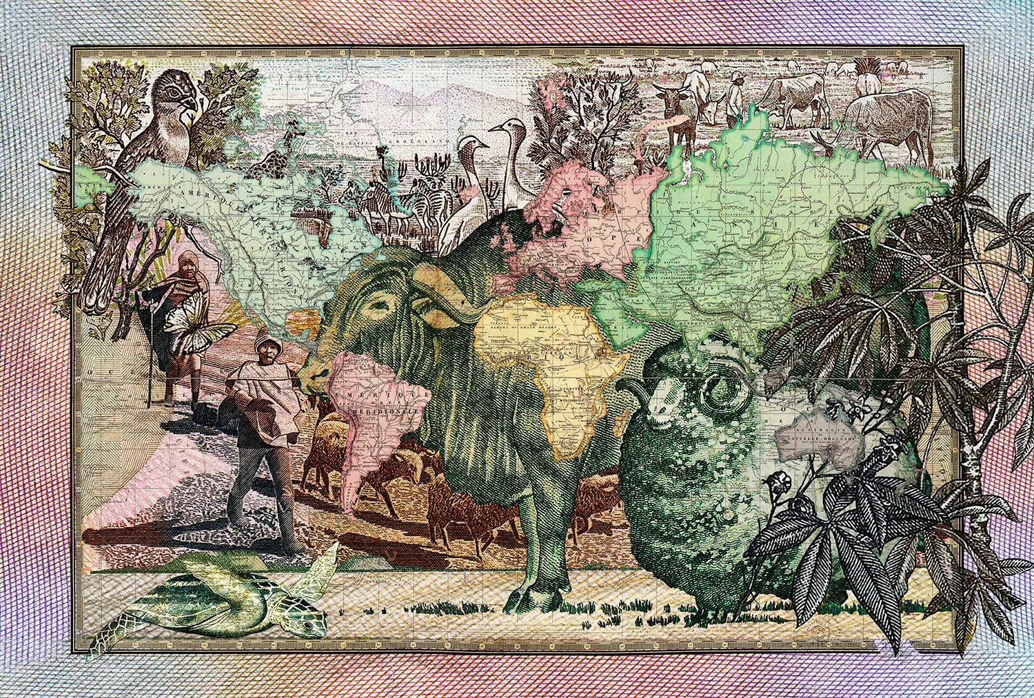 WePresent | Malala Andrialavidrizana makes maps to transcend borders