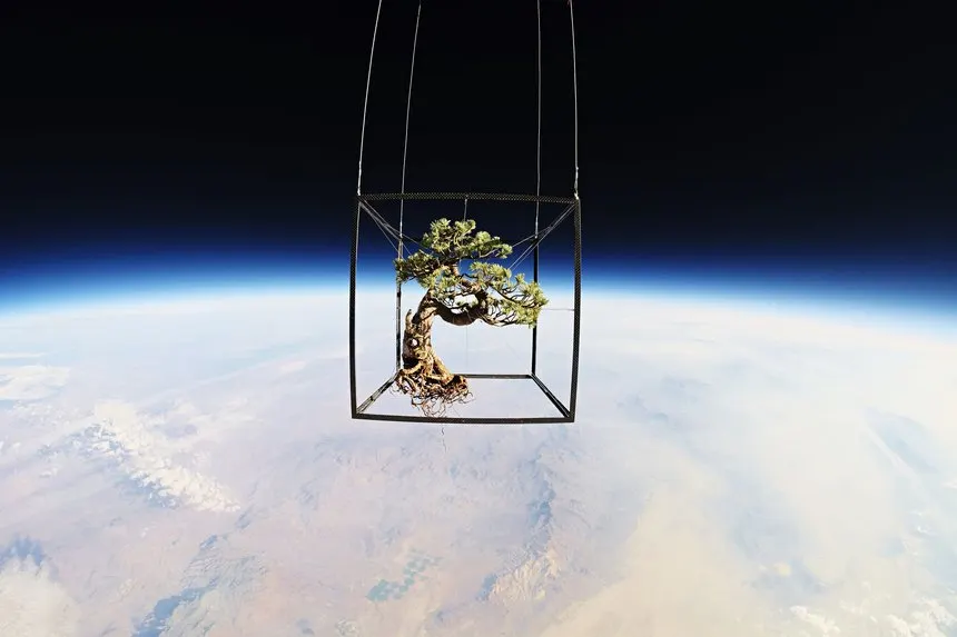 WePresent | Azuma Makoto photographs Japanese flowers in space