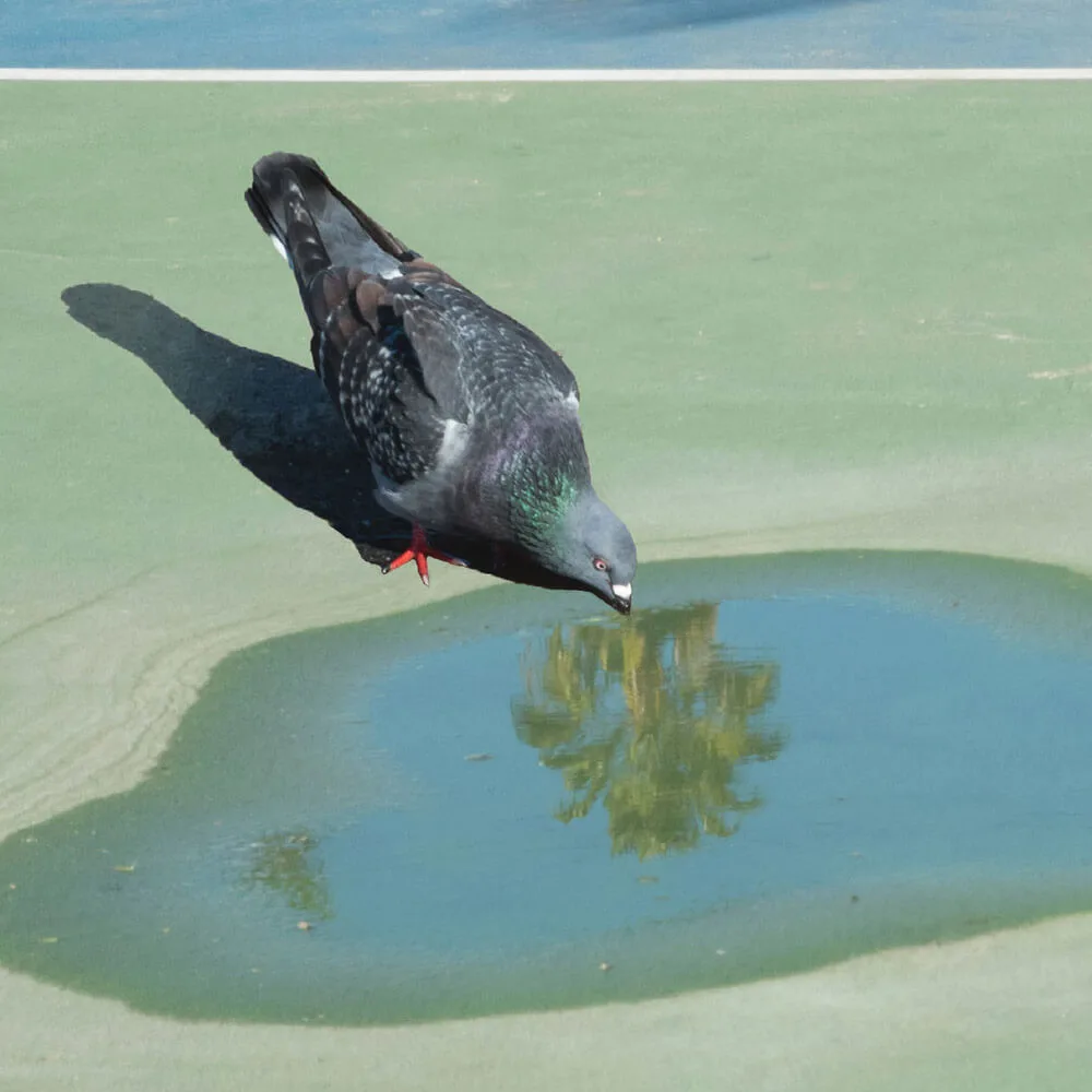 WePresent | Kanghee Kim