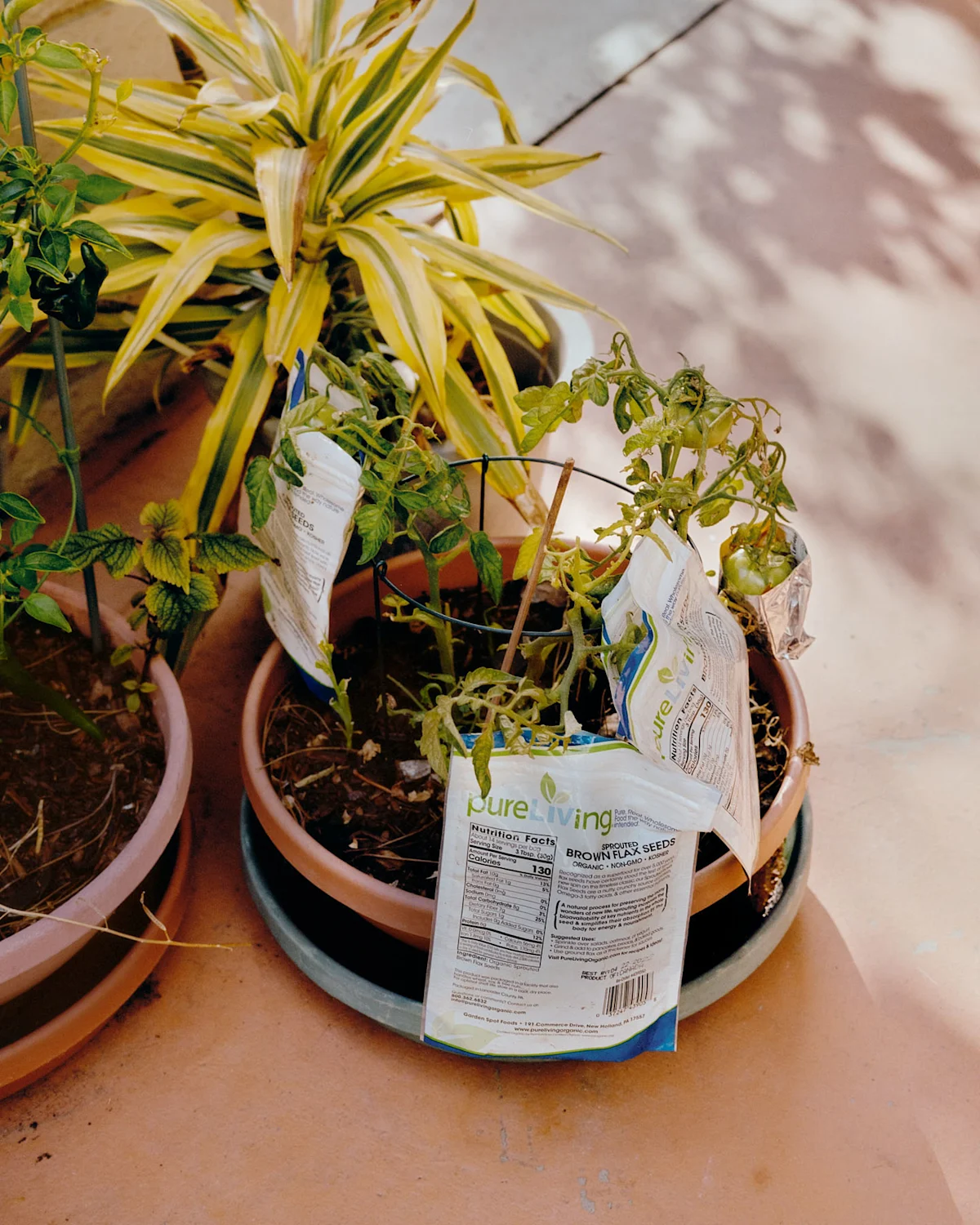 WePresent | Heather Sten documents her mother's later years