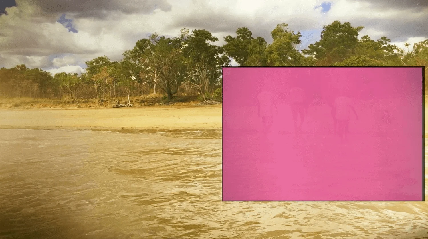 WePresent | Karrabing Film Collective’s project for the Serpentine