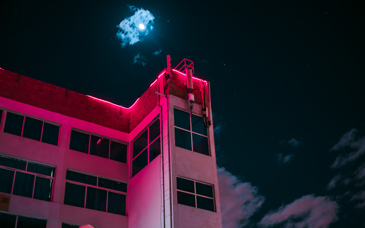 WePresent | Elsa Bleda