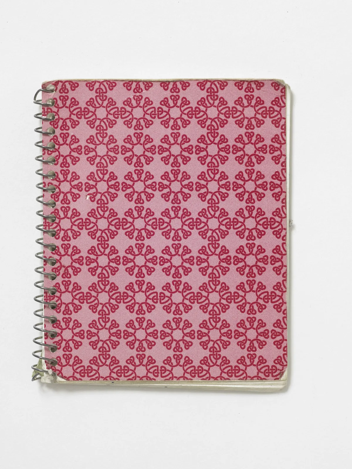 WePresent | “Life Is Excellent” explores David Robilliard’s life.