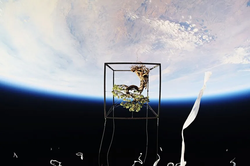 WePresent | Azuma Makoto photographs Japanese flowers in space