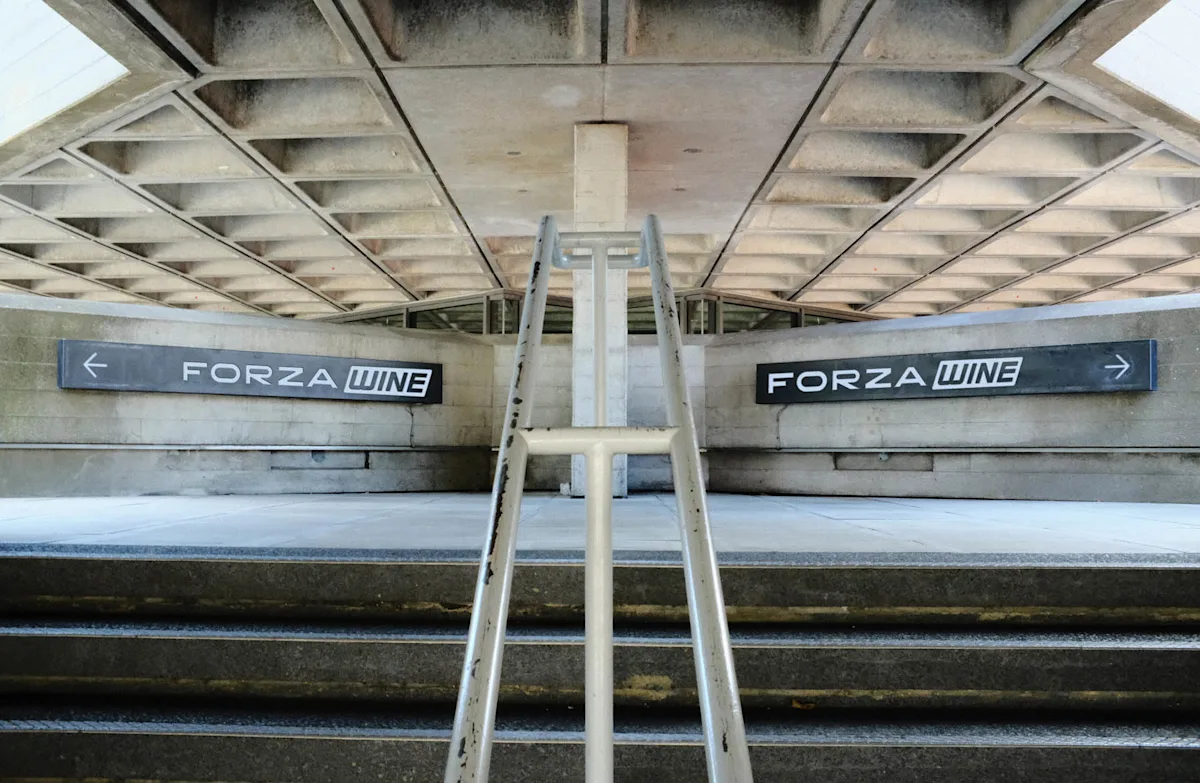 WePresent | How Forza Win used identity and design to succeed