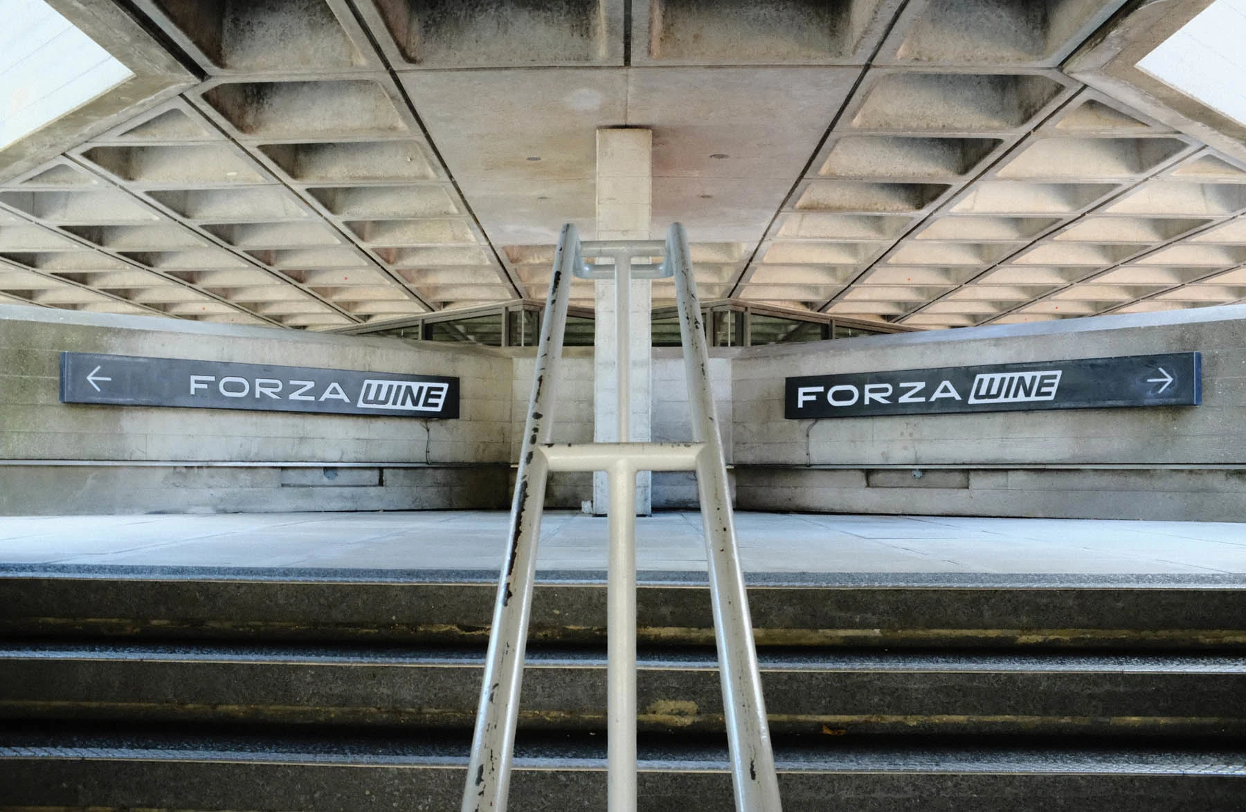 WePresent | How Forza Win used identity and design to succeed