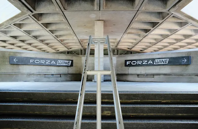 WePresent | How Forza Win used identity and design to succeed