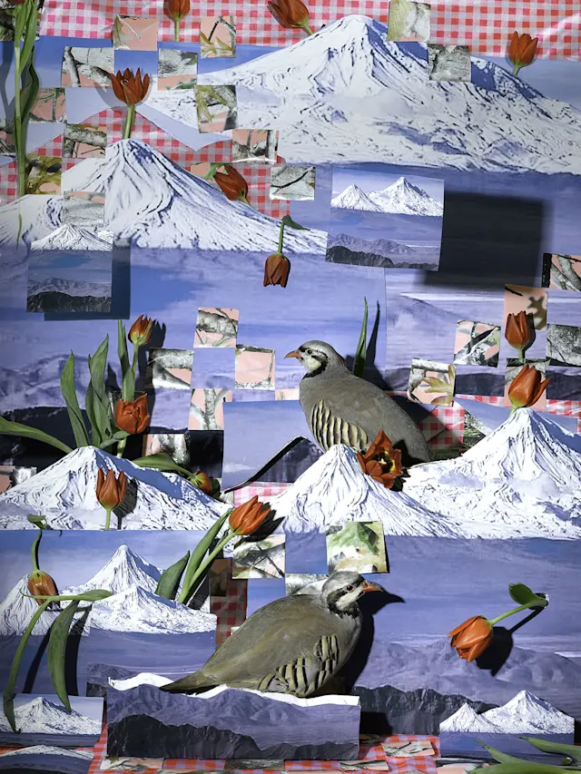 WePresent | Photographer Sheida Soleimani on playfulness and storytelling