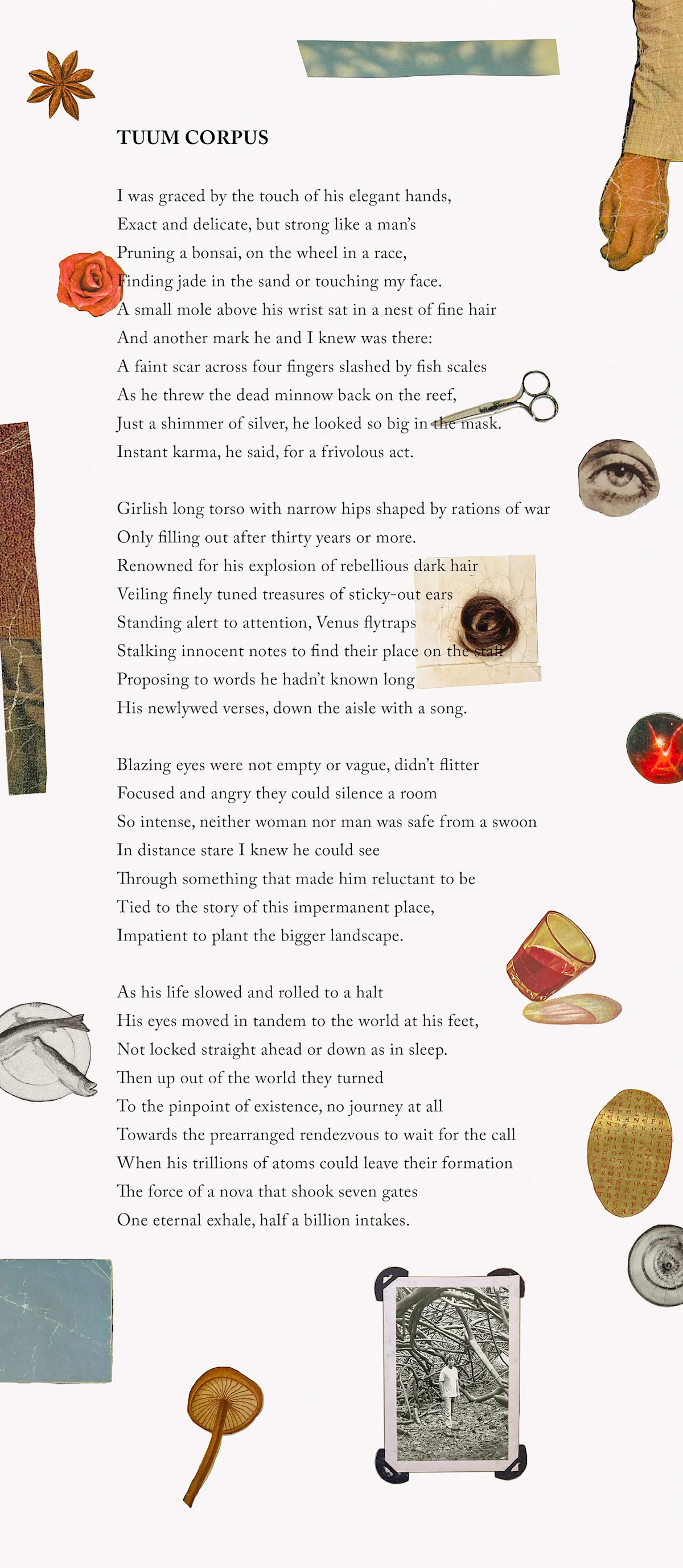 WePresent | Olivia Harrison’s poems for her late husband George