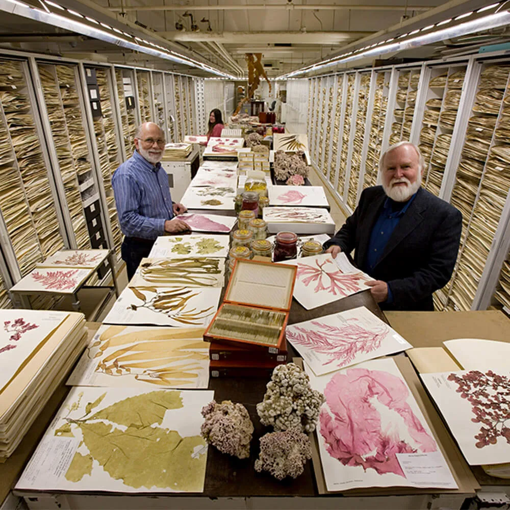 WePresent | Chip Clark