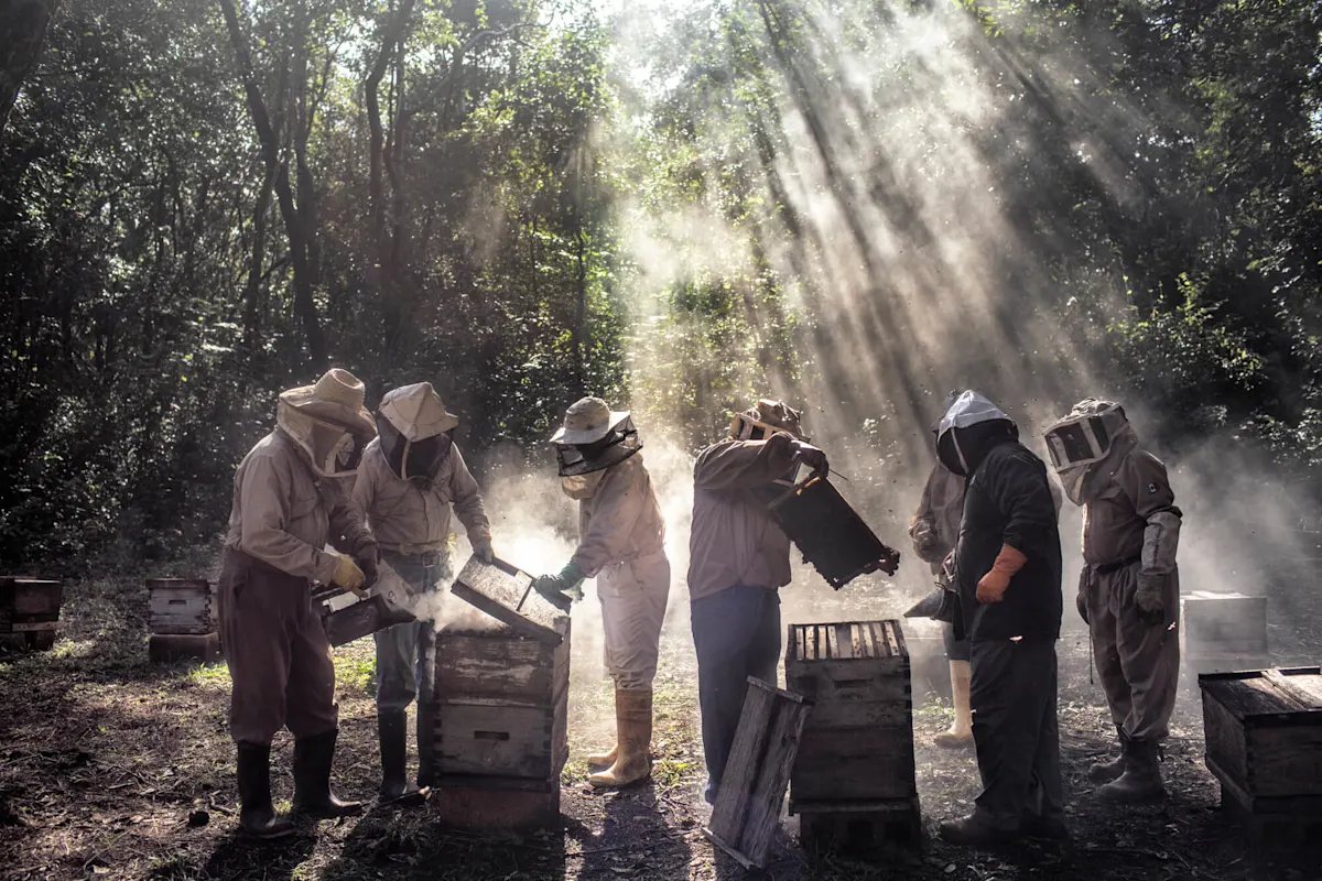 WePresent | Nadia Shira Cohen photographs bee keepers in Mexico