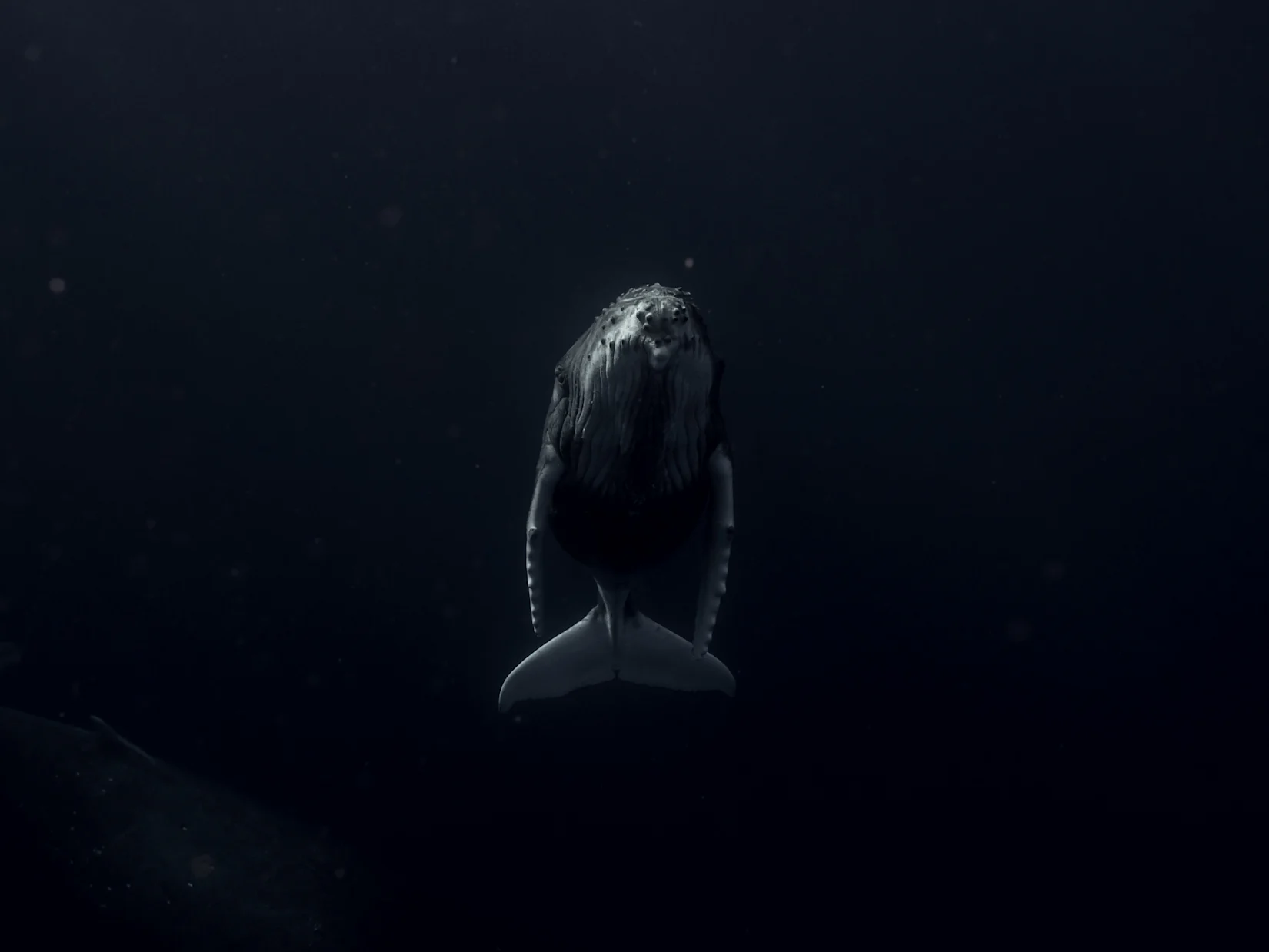 WePresent | Michaela Skovranova photographs baby humpbacks’ scars