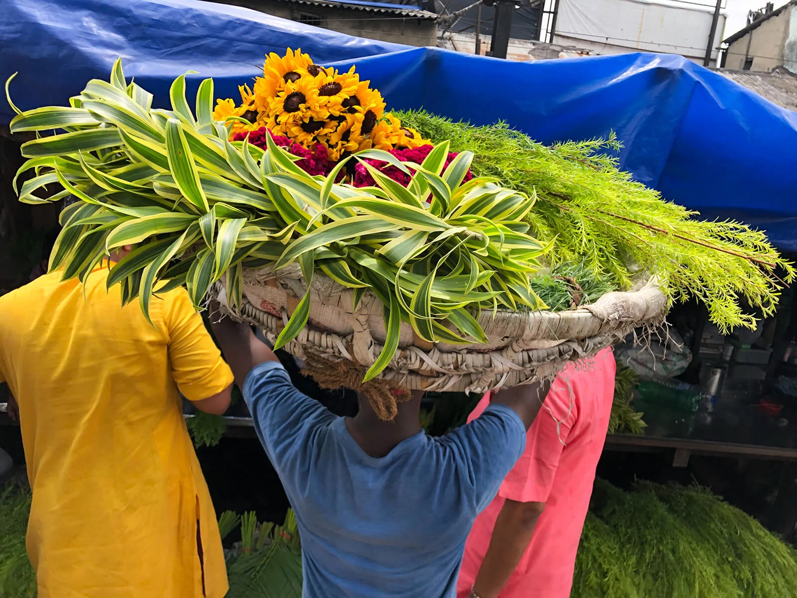 WePresent | Nick Sethi on capturing India in his debut book