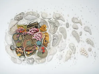 WePresent | Courtney Mattison