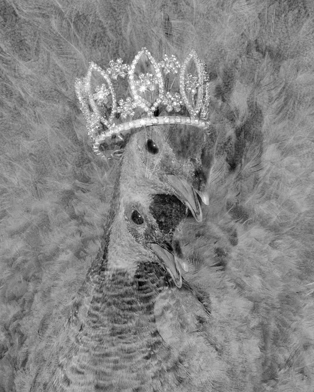 WePresent | Alice Poyzer’s photo story about autism and being yourself