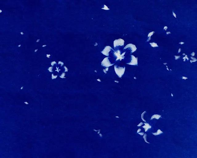 WePresent | Joelle Taylor's essay inspired by Derek Jarman