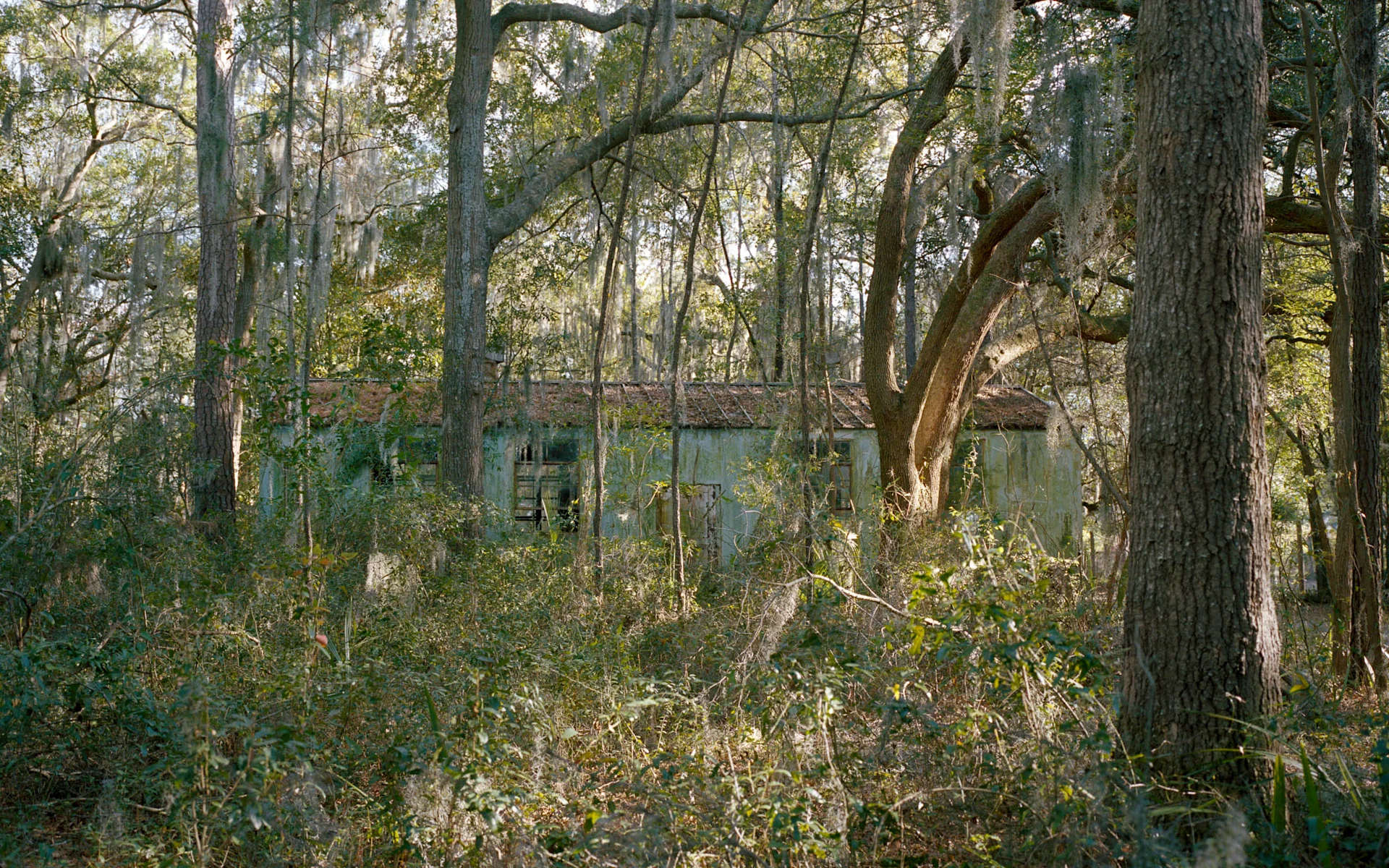 WePresent | Anna Beeke photographs Washington’s San Juan Islands