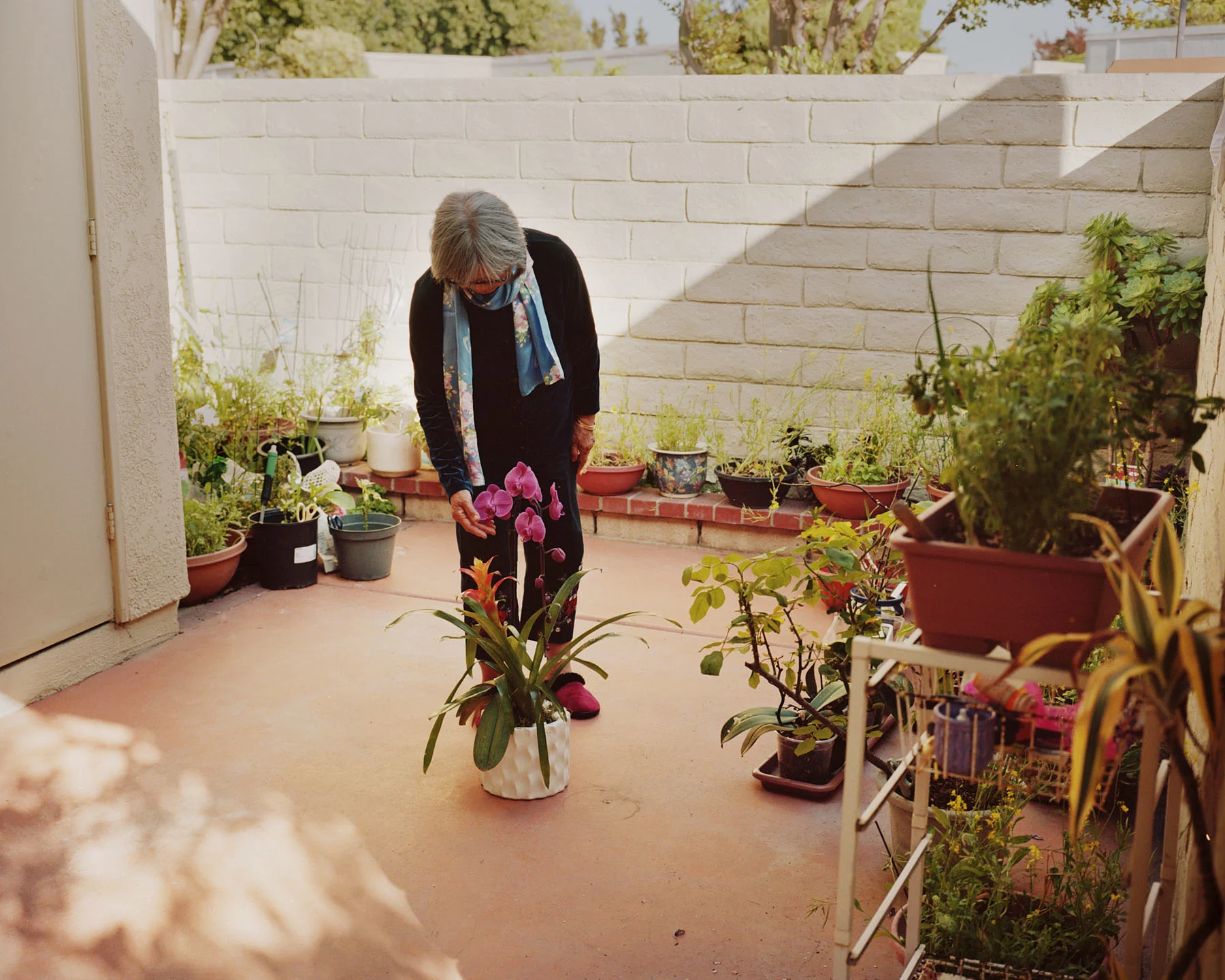 WePresent | Heather Sten documents her mother's later years