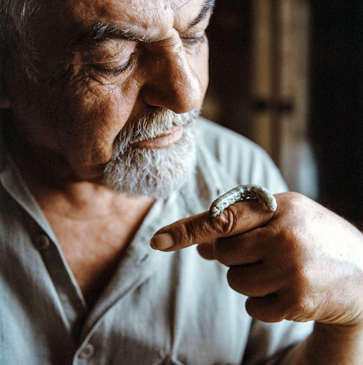 WePresent | The stories behind some of the best photojournalism of 2024