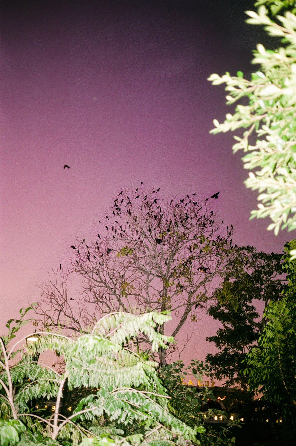 WePresent | How Charlie Tallott used photography as a means of escape