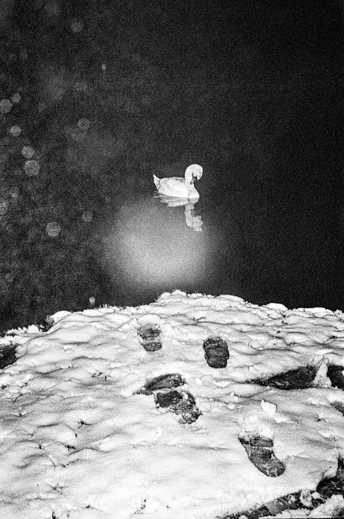 WePresent | How Charlie Tallott used photography as a means of escape