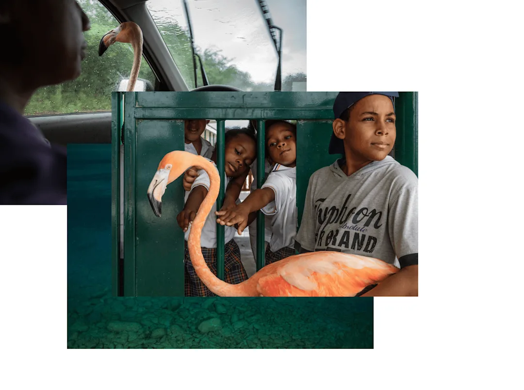 WePresent | Jasper Doest