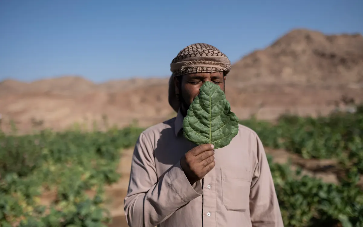 WePresent | Rehab Eldalil photographs Sinai’s Bedouin communities