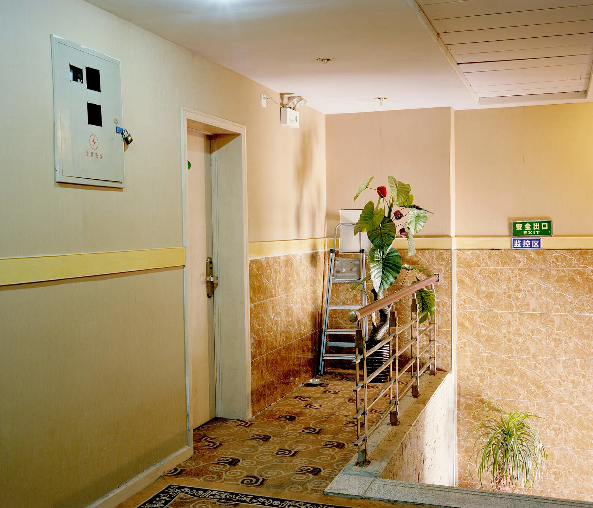 WePresent | Peng Ke sees contradictions in a modern Chinese city