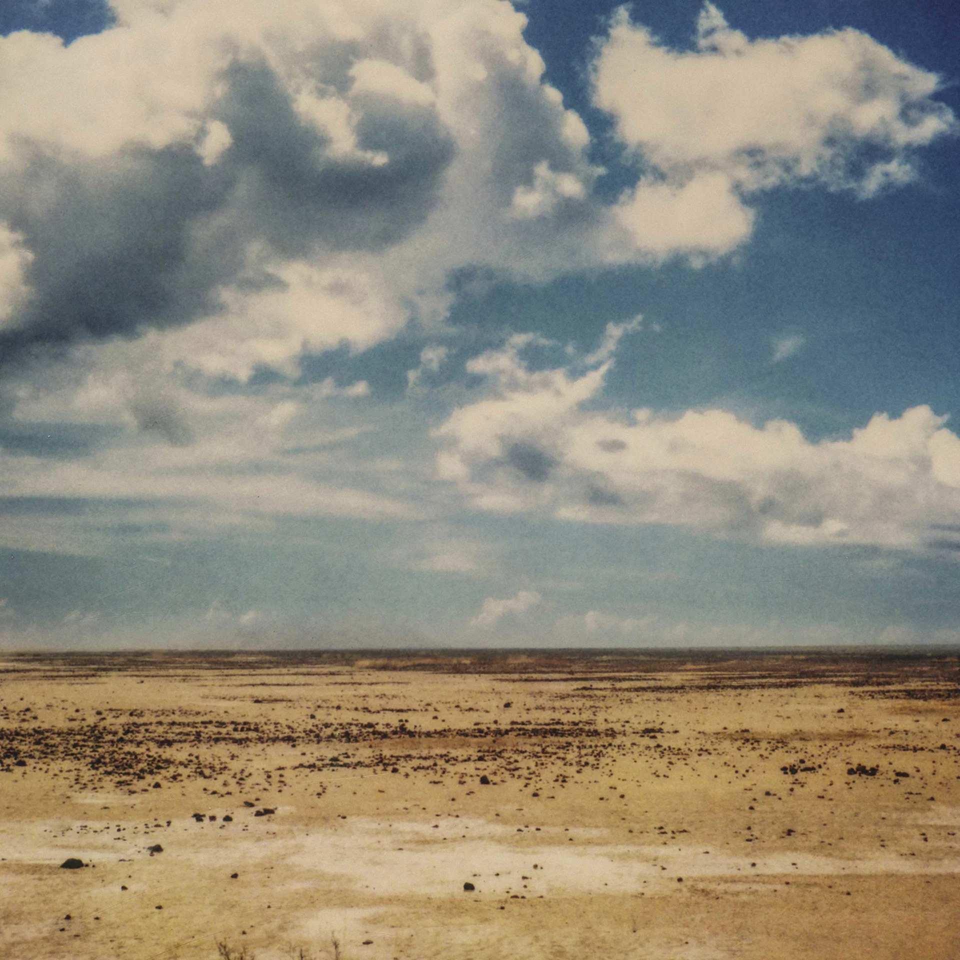 WePresent | Why is the desert such a hotbed of musical inspiration?