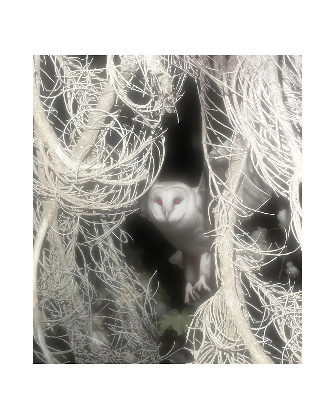 WePresent | How Female Pentimento creates their celestial images