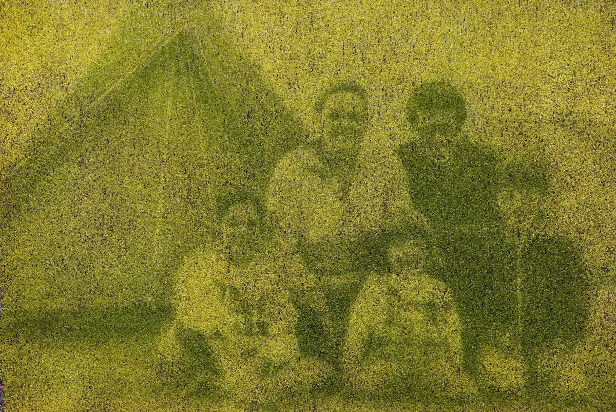 WePresent | Almudena Romero’s plant-based photography performances