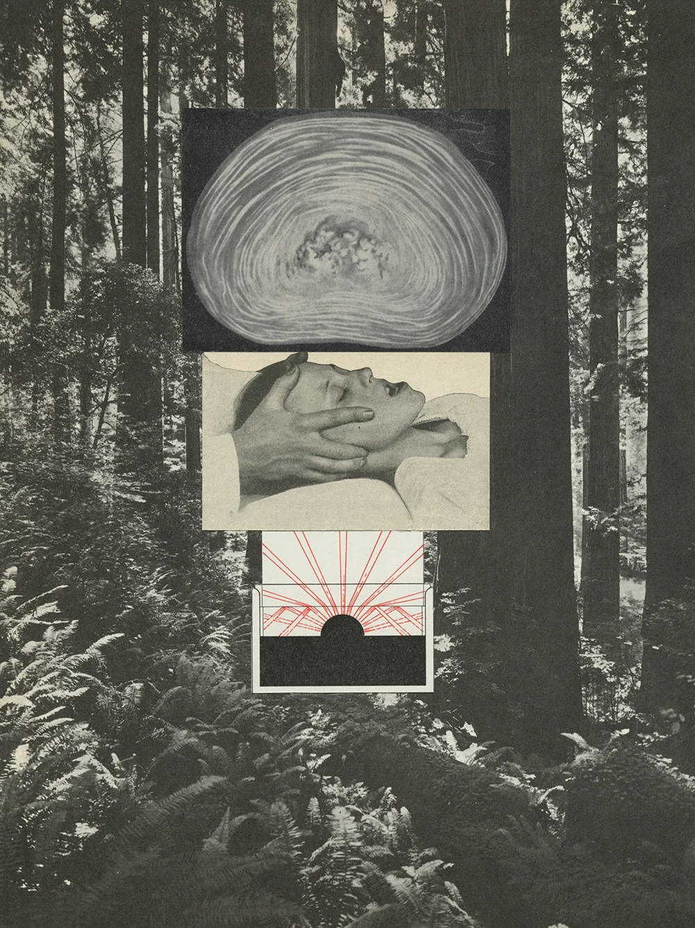 WePresent | Ashkan Honarvar’s collages meditate on the human condition