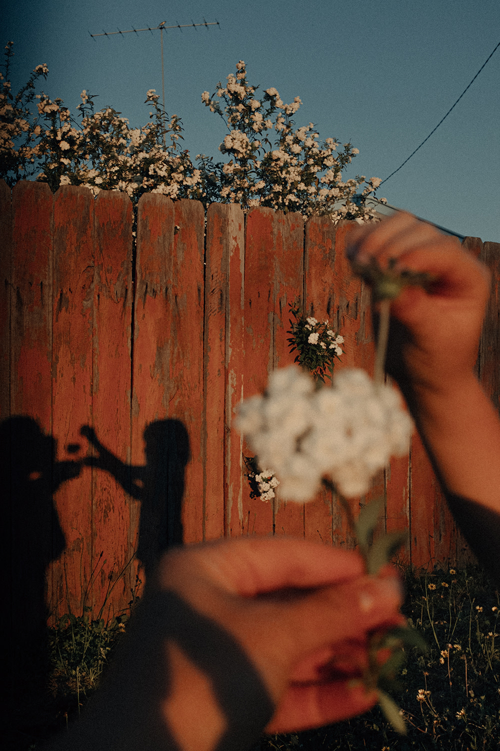 WePresent | Photographer Lisa Sorgini explores motherhood