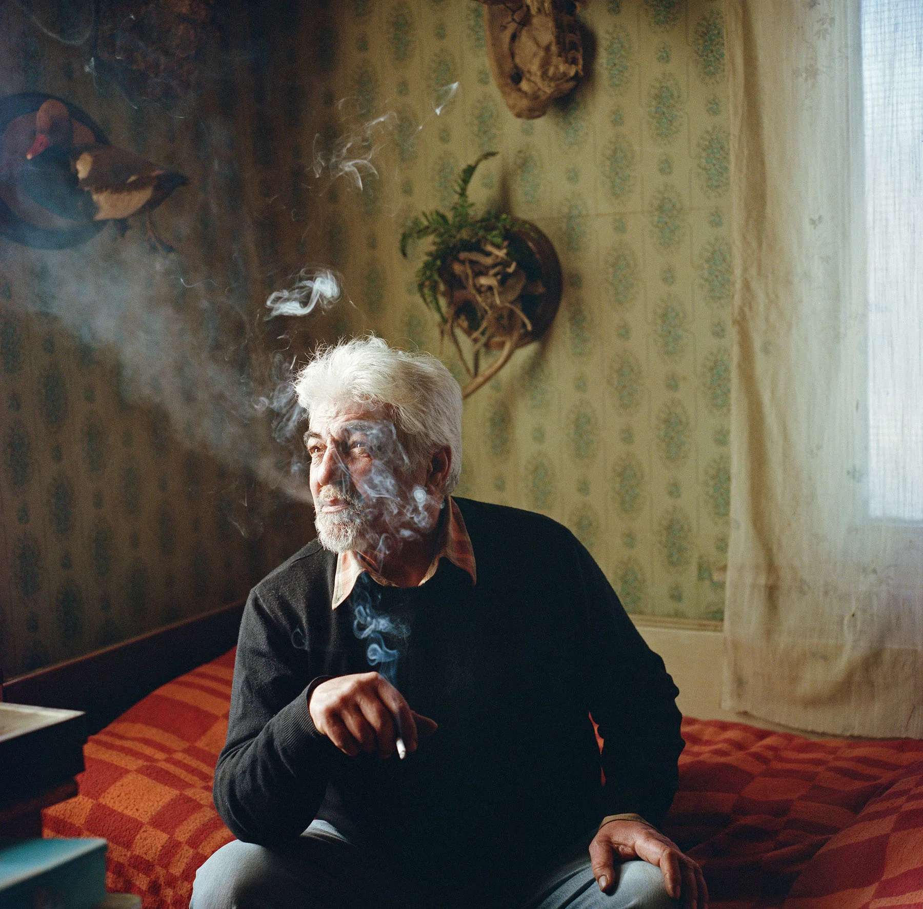 WePresent | The stories behind some of the best photojournalism of 2024