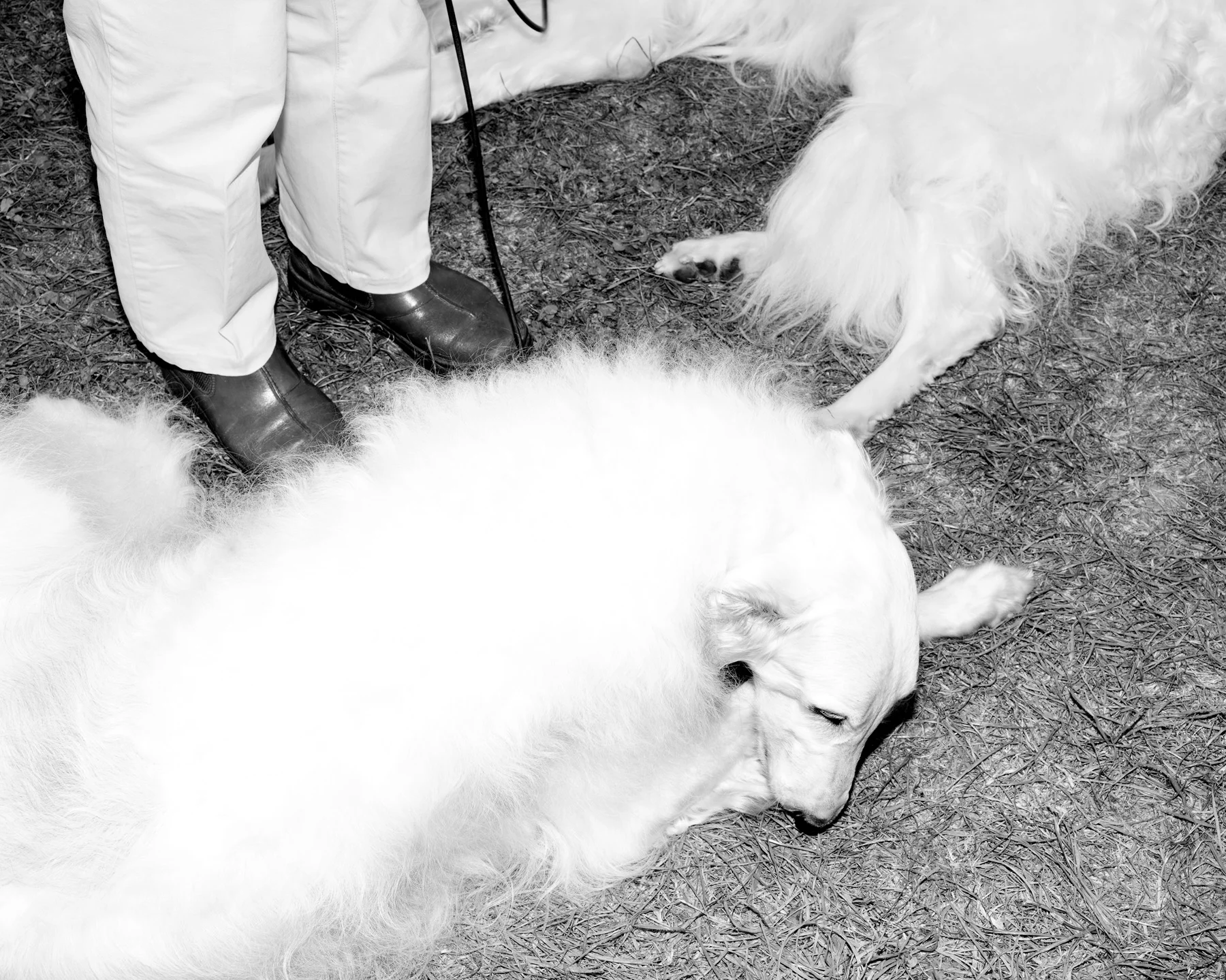 WePresent | Alice Poyzer’s photo story about autism and being yourself