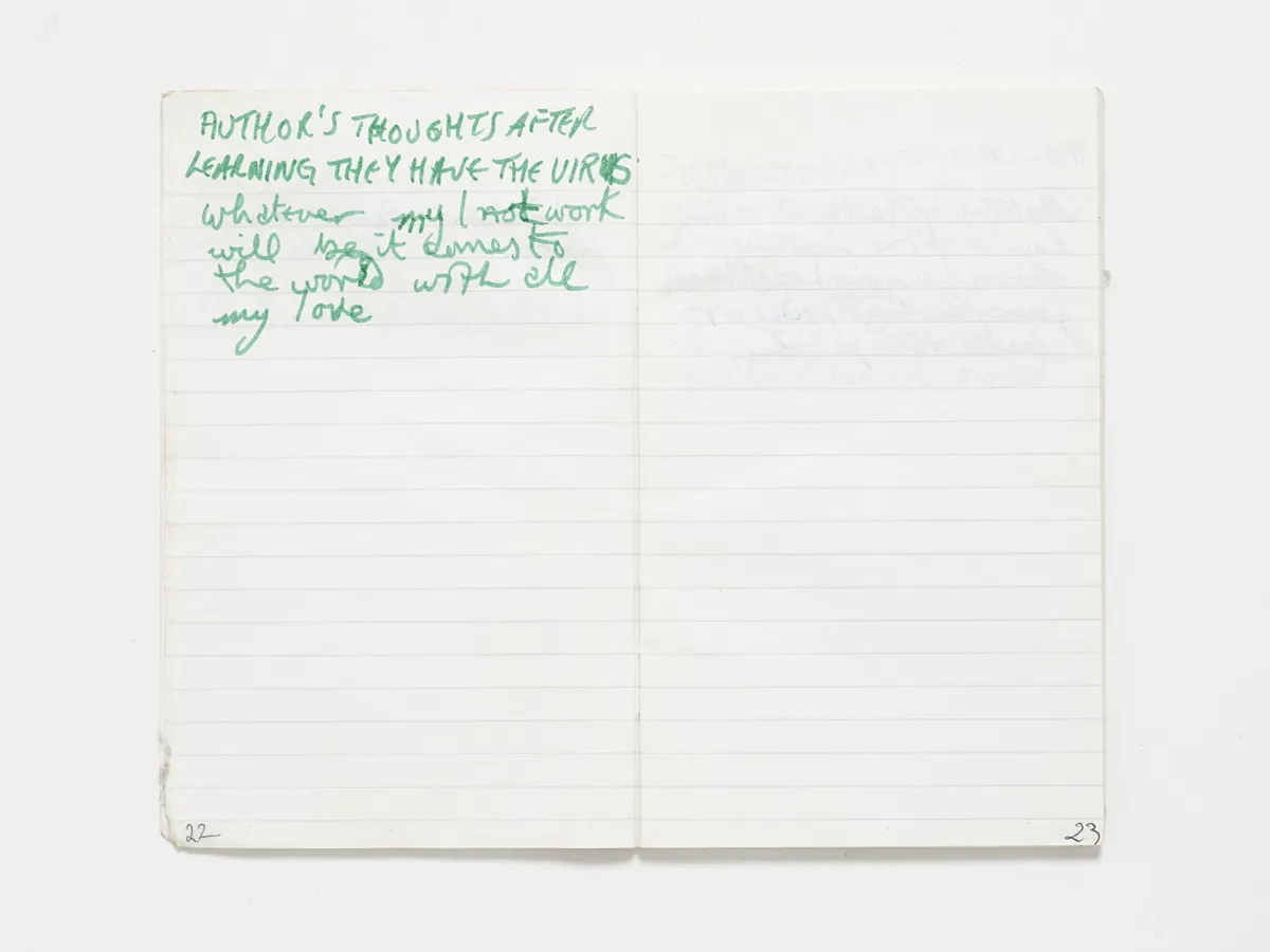 WePresent | “Life Is Excellent” explores David Robilliard’s life.