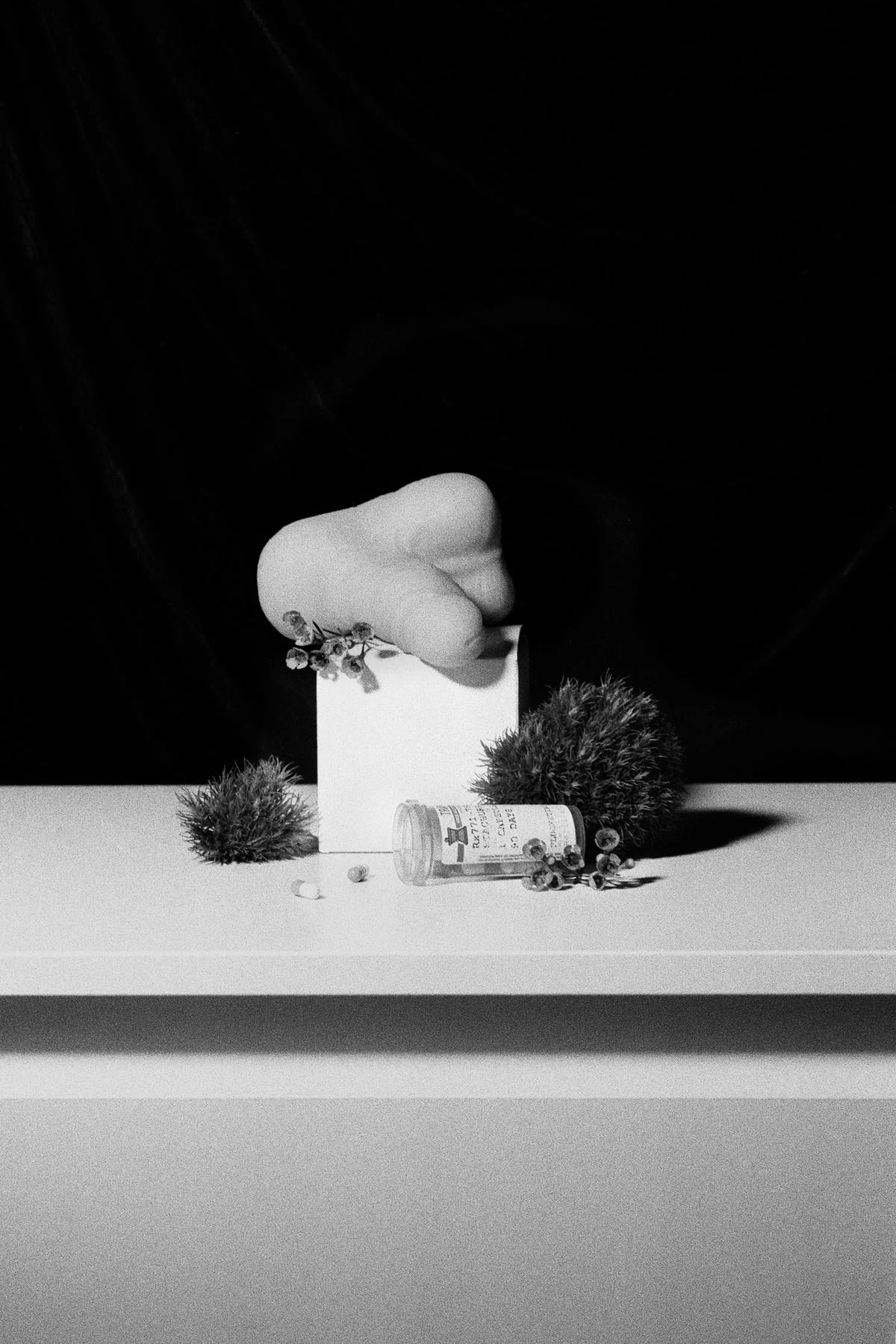 WePresent | Carson Stachura reimagines the Trans visual archive