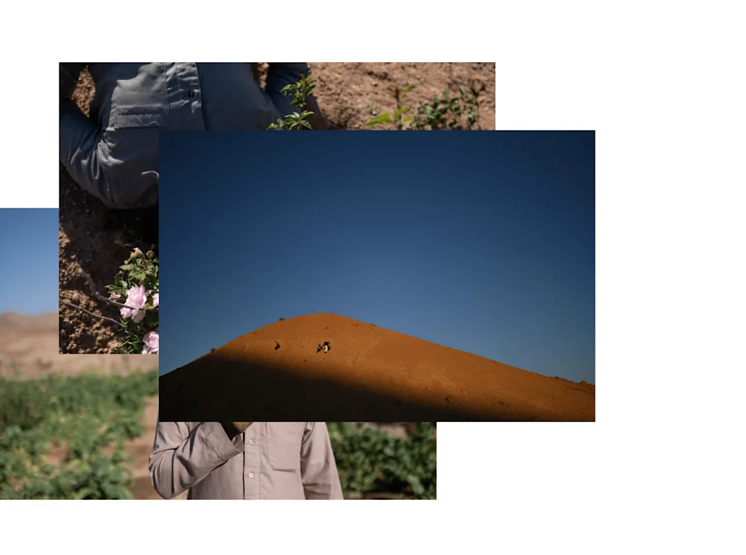 WePresent | Ezra Acayan photographs the Taal volcano eruption