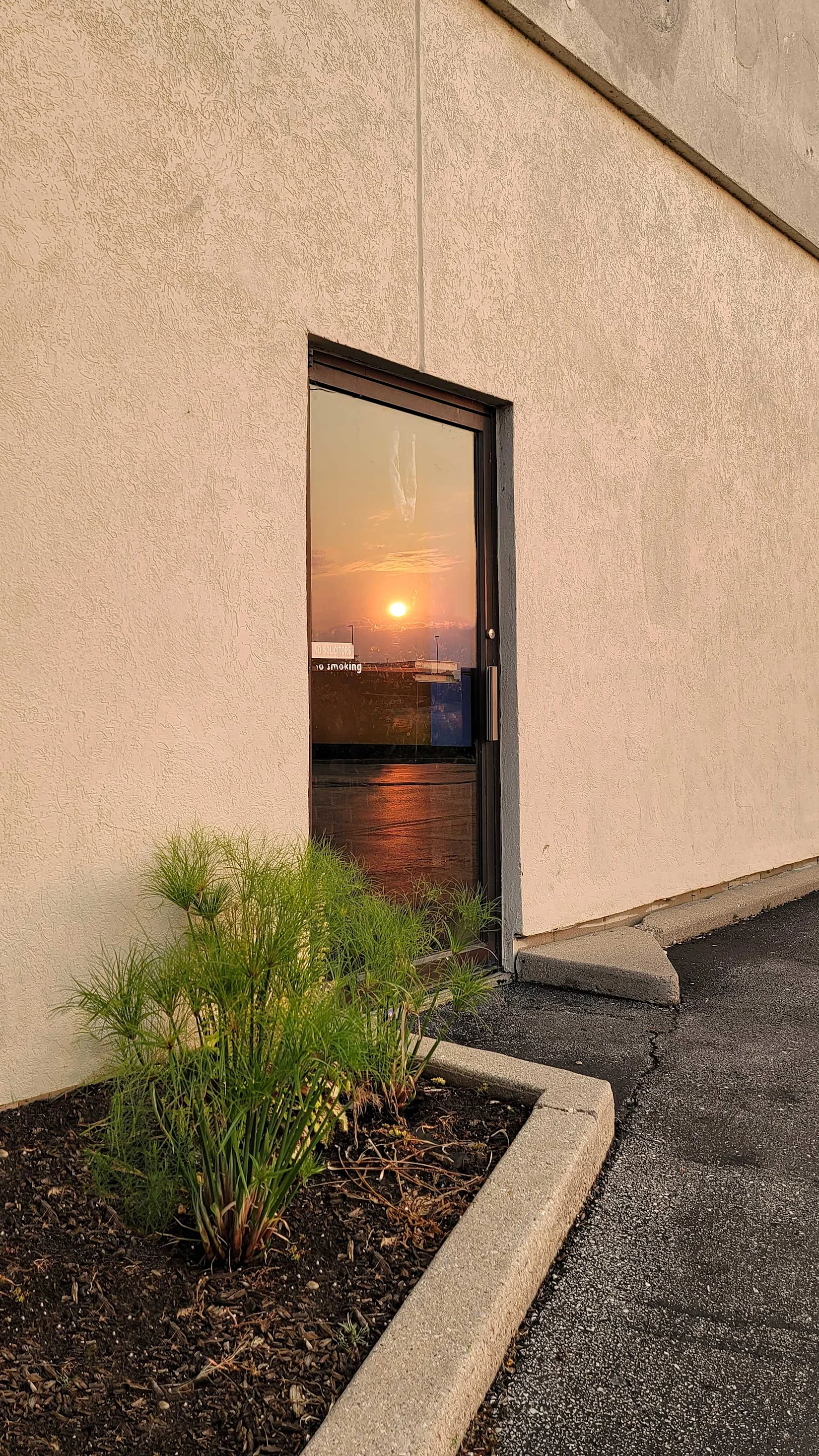 WePresent | Hayley Eichenbaum captures the nuances of the open road