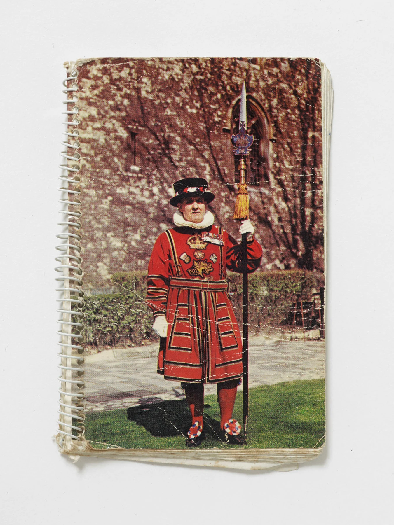 WePresent | “Life Is Excellent” explores David Robilliard’s life.