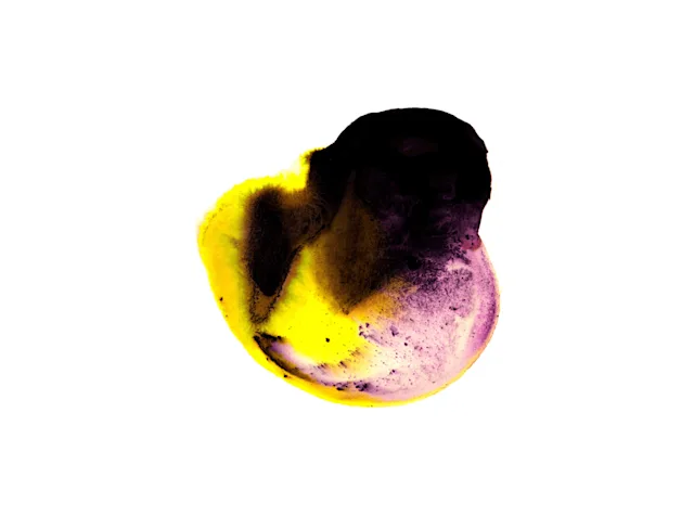 WePresent | Download stunning posters to campaign for gun reform