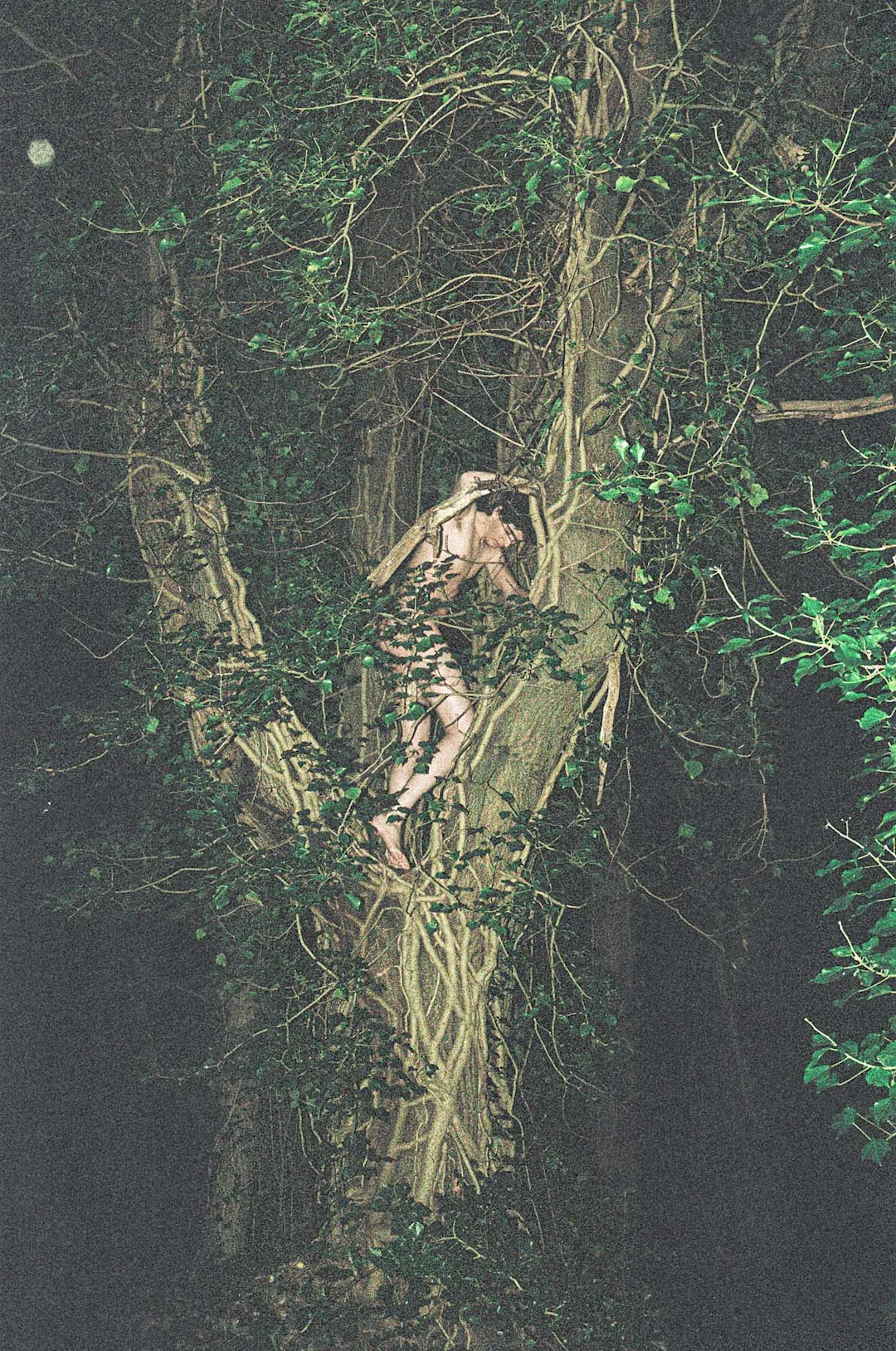 WePresent | How Charlie Tallott used photography as a means of escape